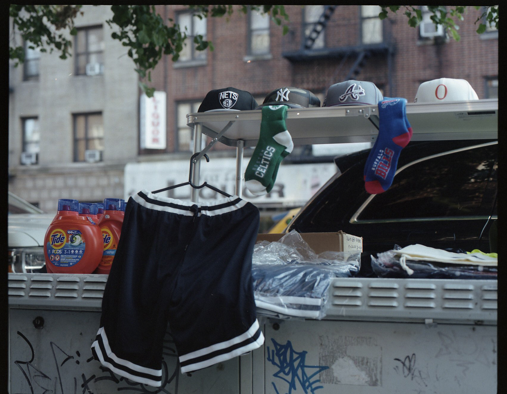 The Beauty of the Bronx: A Day in Pictures - Latina